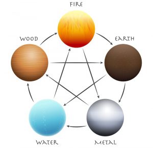 Herbal Energetics: The Four Elements Explained - POP